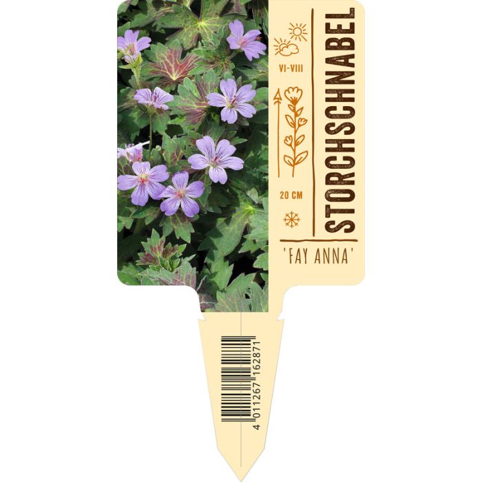 Bildstecketikett Ideal L - Geranium-Hybride 'Fay Anna', 48 Etiketten je ...